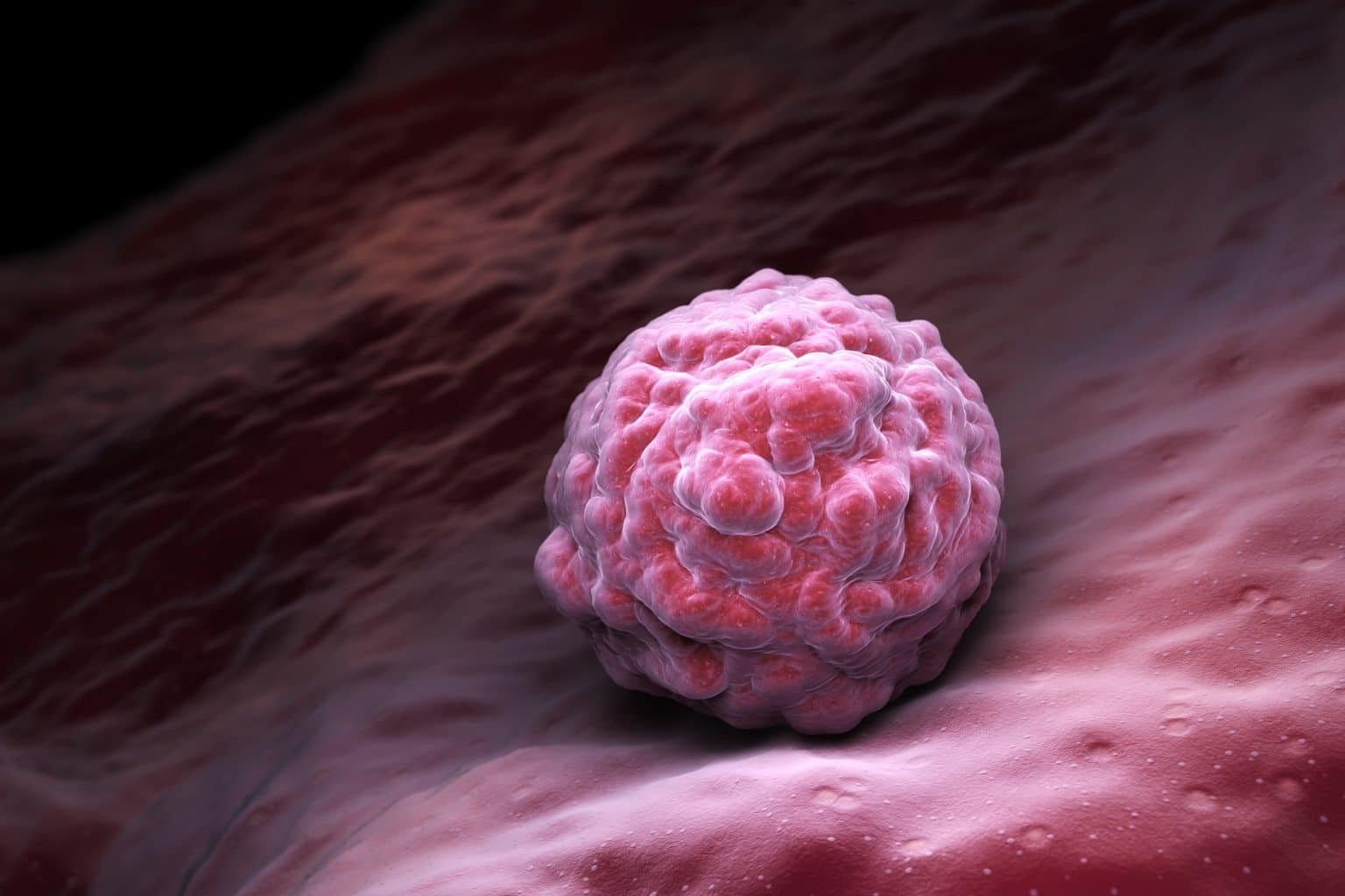 Unlocking The Body's Natural Power To Heal: The Promise of Stem Cell ...